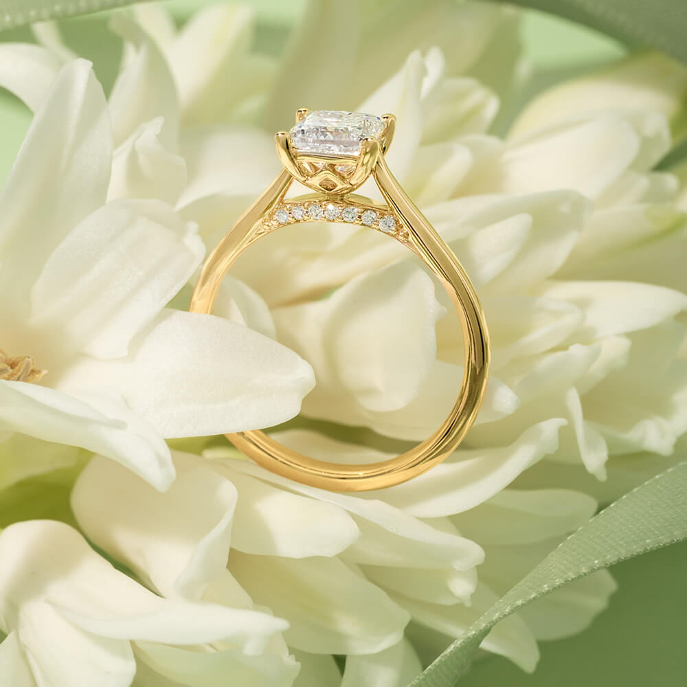 Engagement Rings, Necklaces, Earrings | Ann-Louise Jewellers